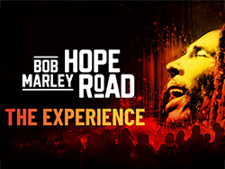 Bob Marley Hope Road Experience