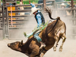 National Finals Rodeo (NFR) Show Las Vegas: Tickets & Reviews | Vegas.com