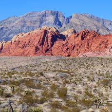 Red Rock Canyon Tours – Tickets & Reviews | Vegas.com